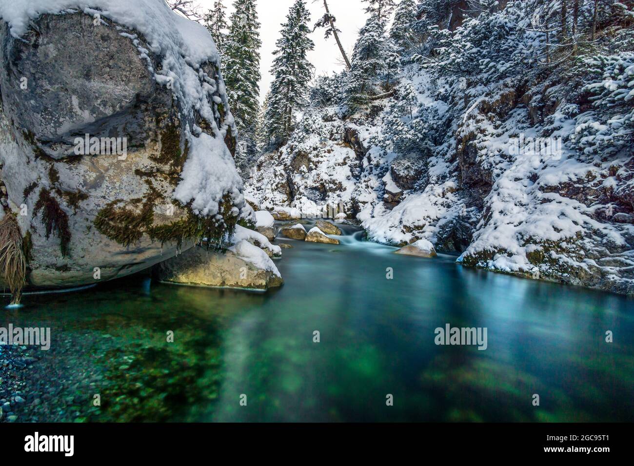Azure river in a forest covered in snow Stock Photo - Alamy