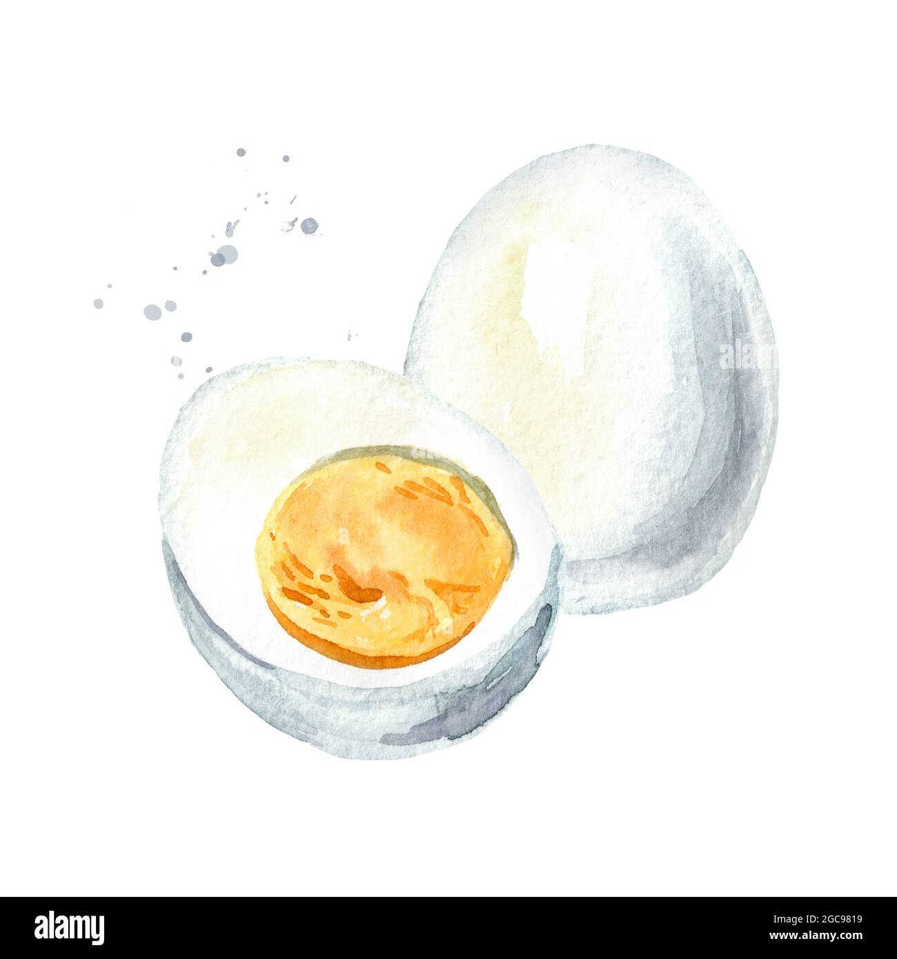 Boiled eggs. Watercolor hand drawn illustration, isolated on white ...