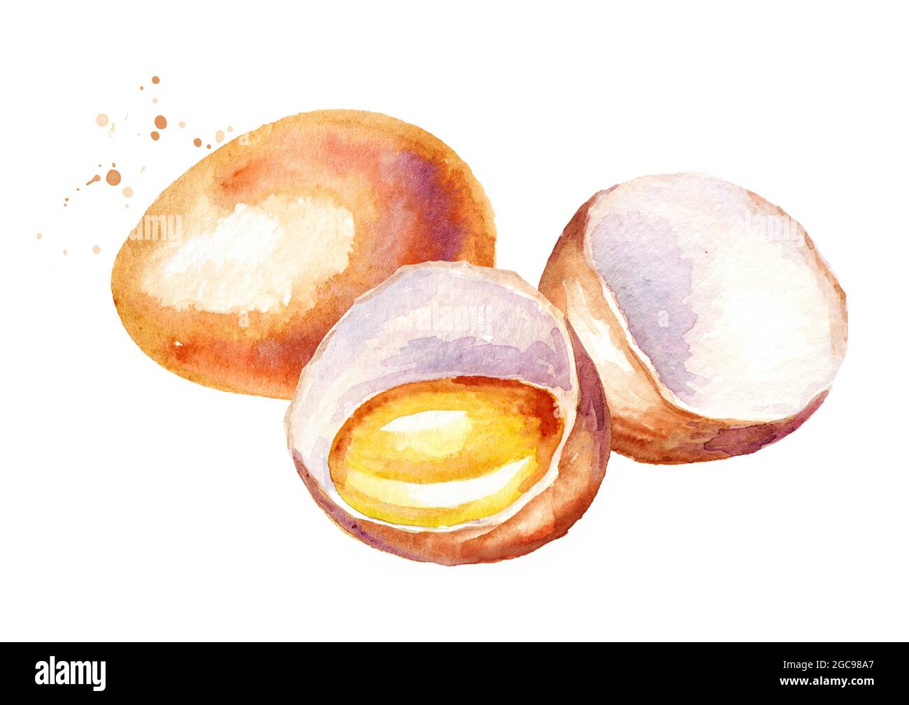 Eggs composition. Watercolor hand drawn illustration isolated on white ...