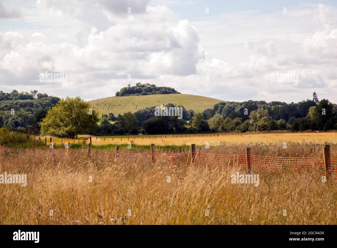 Meadows at the foot of Wittenham Clumps in rural Oxfordshire Stock ...