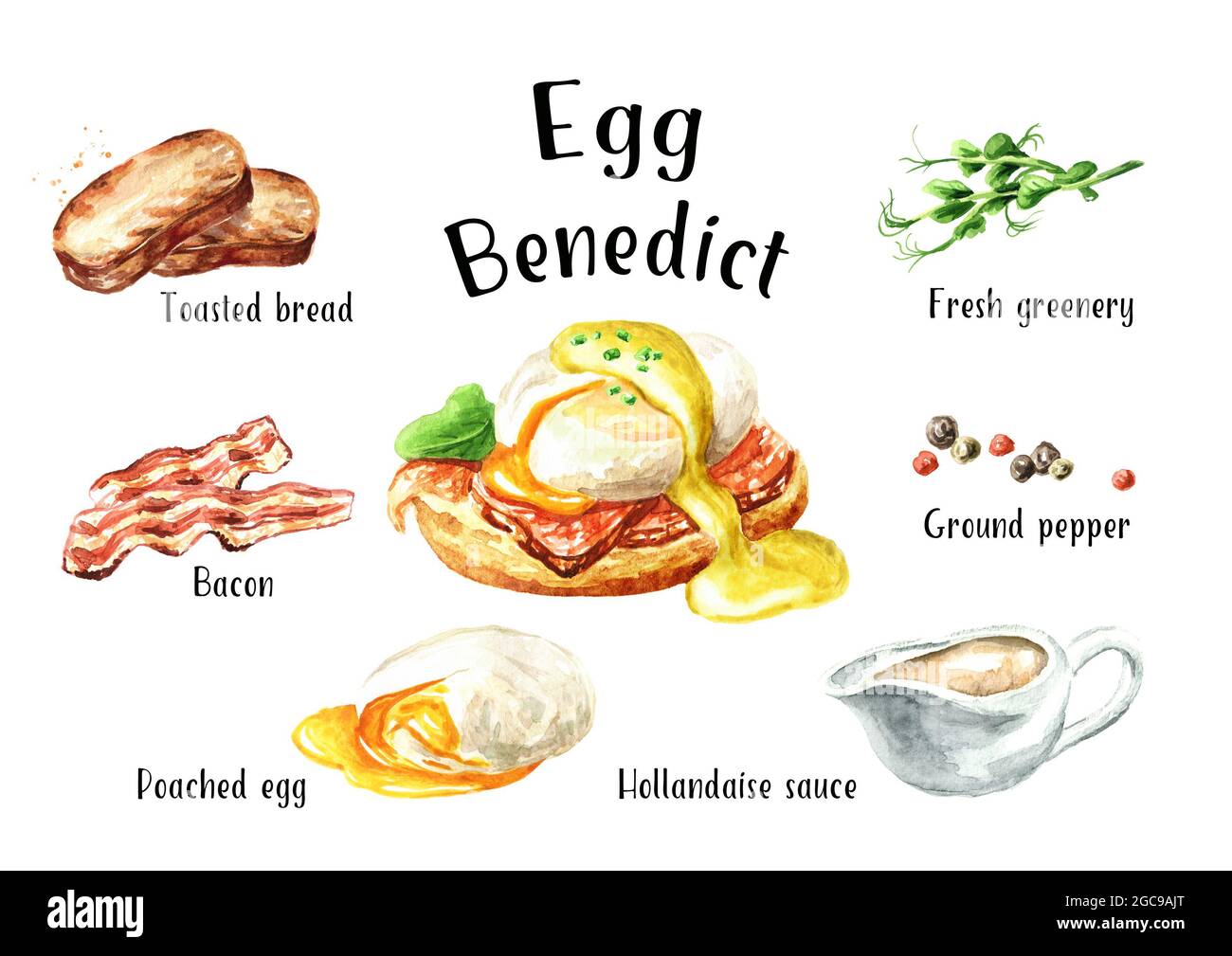 Egg Benedict recipe with ingredients. Hand drawn watercolor ...