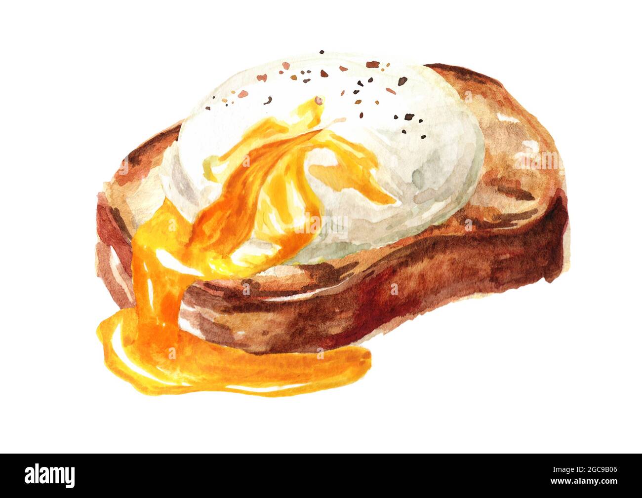 Poached Egg On Toast Or Fried Bread Hand Drawn Watercolor Illustration