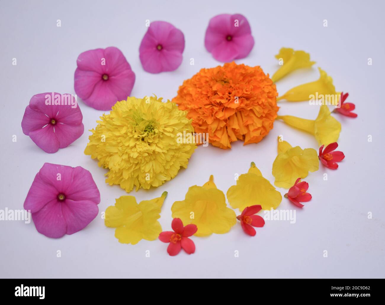 Rangolee hi-res stock photography and images - Alamy