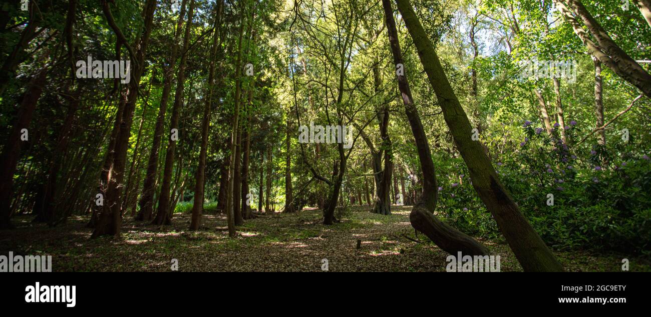 Dunwich suffolk hi-res stock photography and images - Alamy