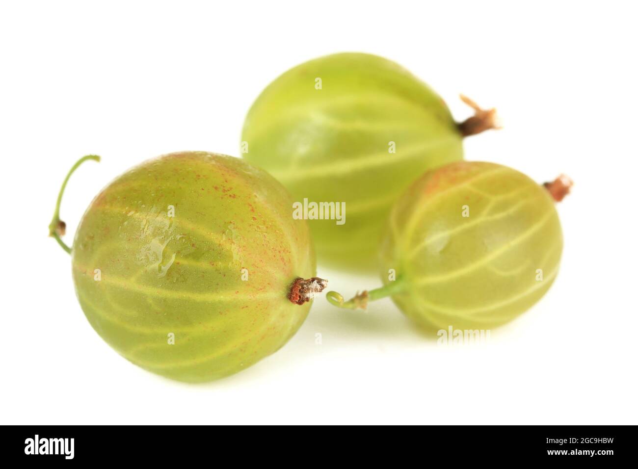 Fresh gooseberries isolated on white Stock Photo - Alamy