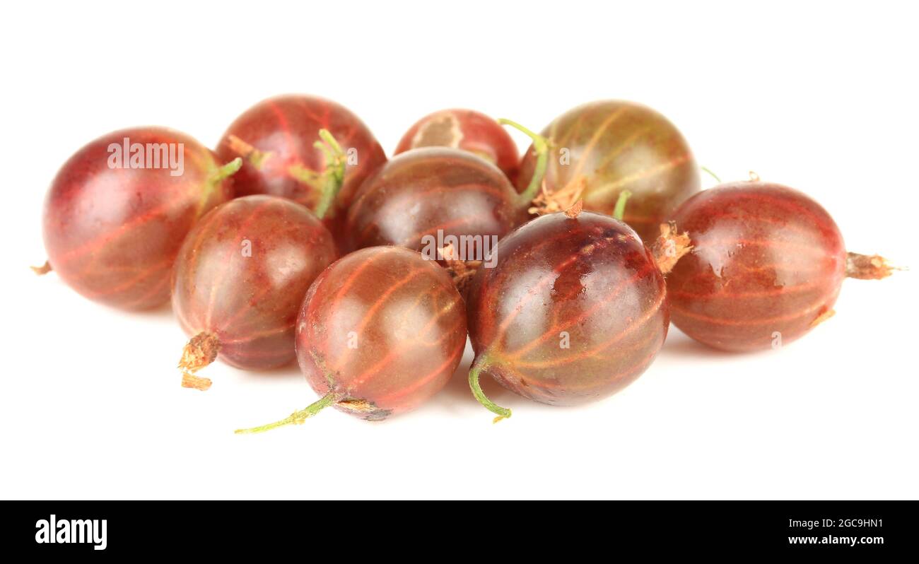 Fresh gooseberries isolated on white Stock Photo - Alamy
