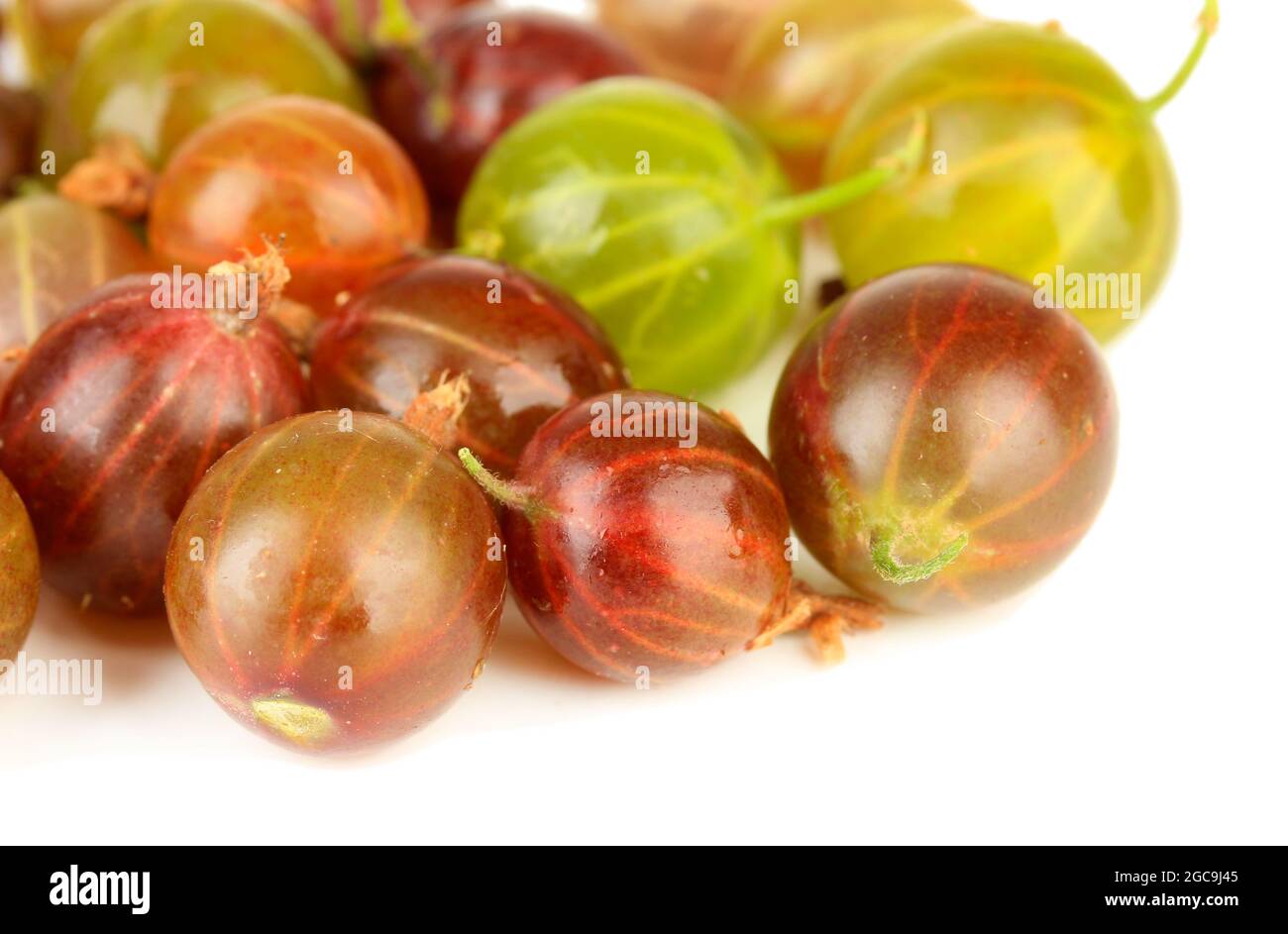 Fresh gooseberries isolated on white Stock Photo - Alamy