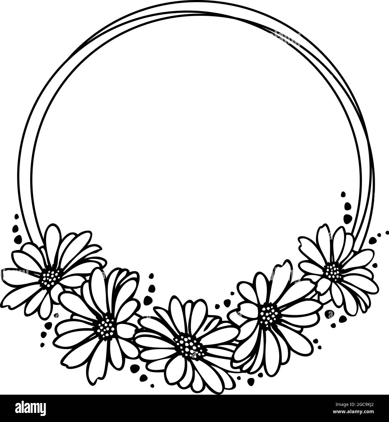 White daisy border on black hi-res stock photography and images - Alamy