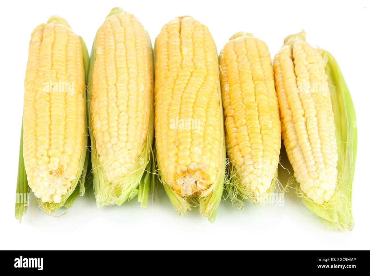Fresh corn vegetable isolated on white Stock Photo - Alamy