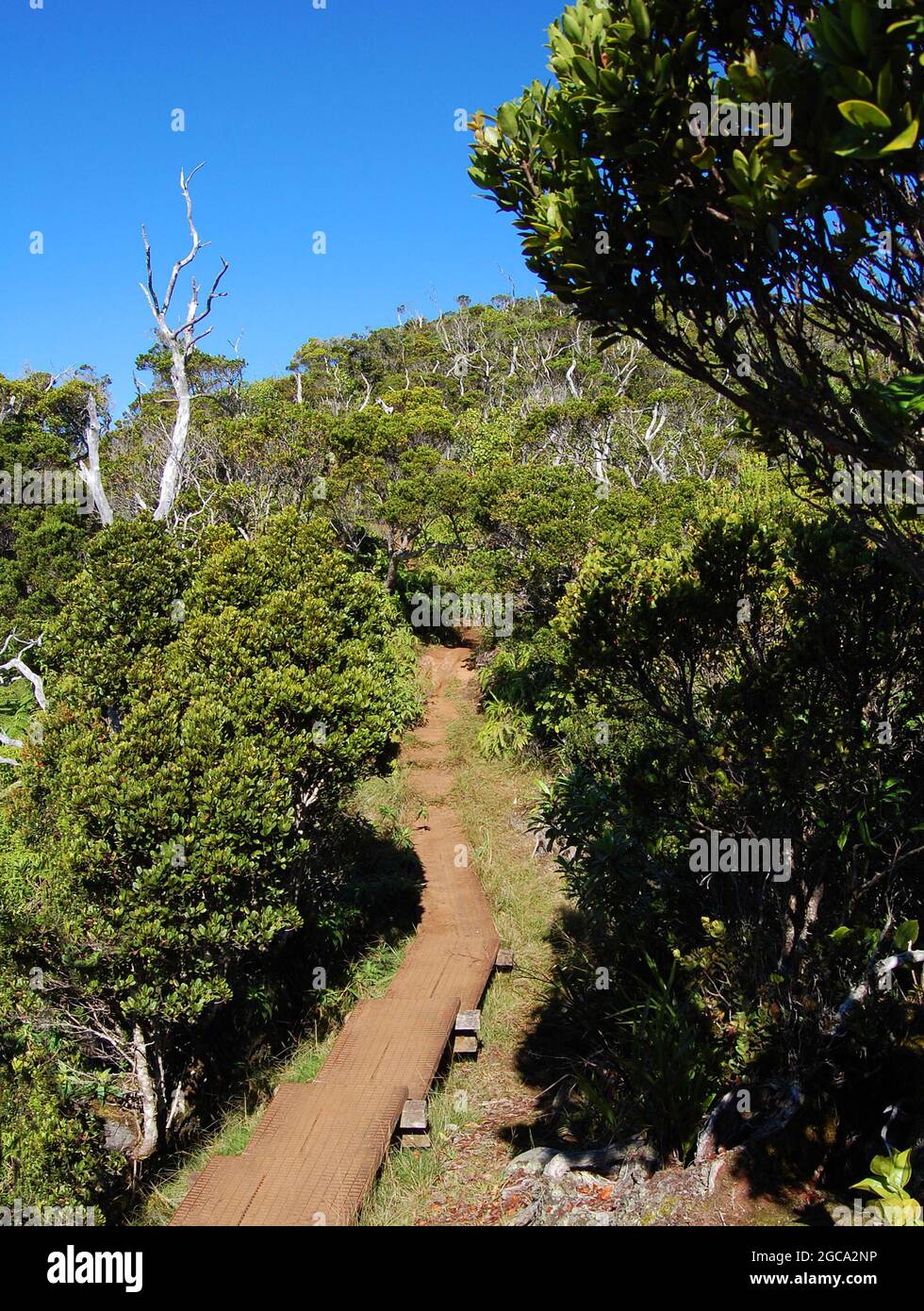 Na pali kona forest preserve hi-res stock photography and images - Alamy