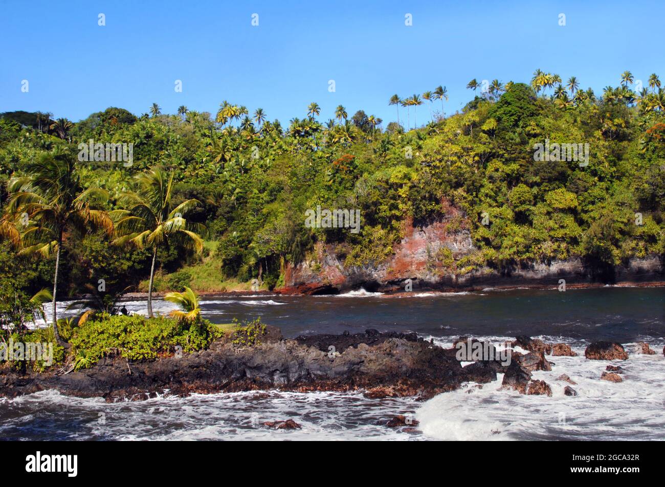 Lone fisherman fishes in the shadow of palm trees on Onomea Bay on the ...