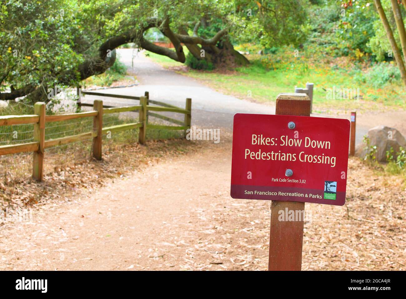 Sign warning bicyclists to slow down for upcoming pedestrian crossing ...