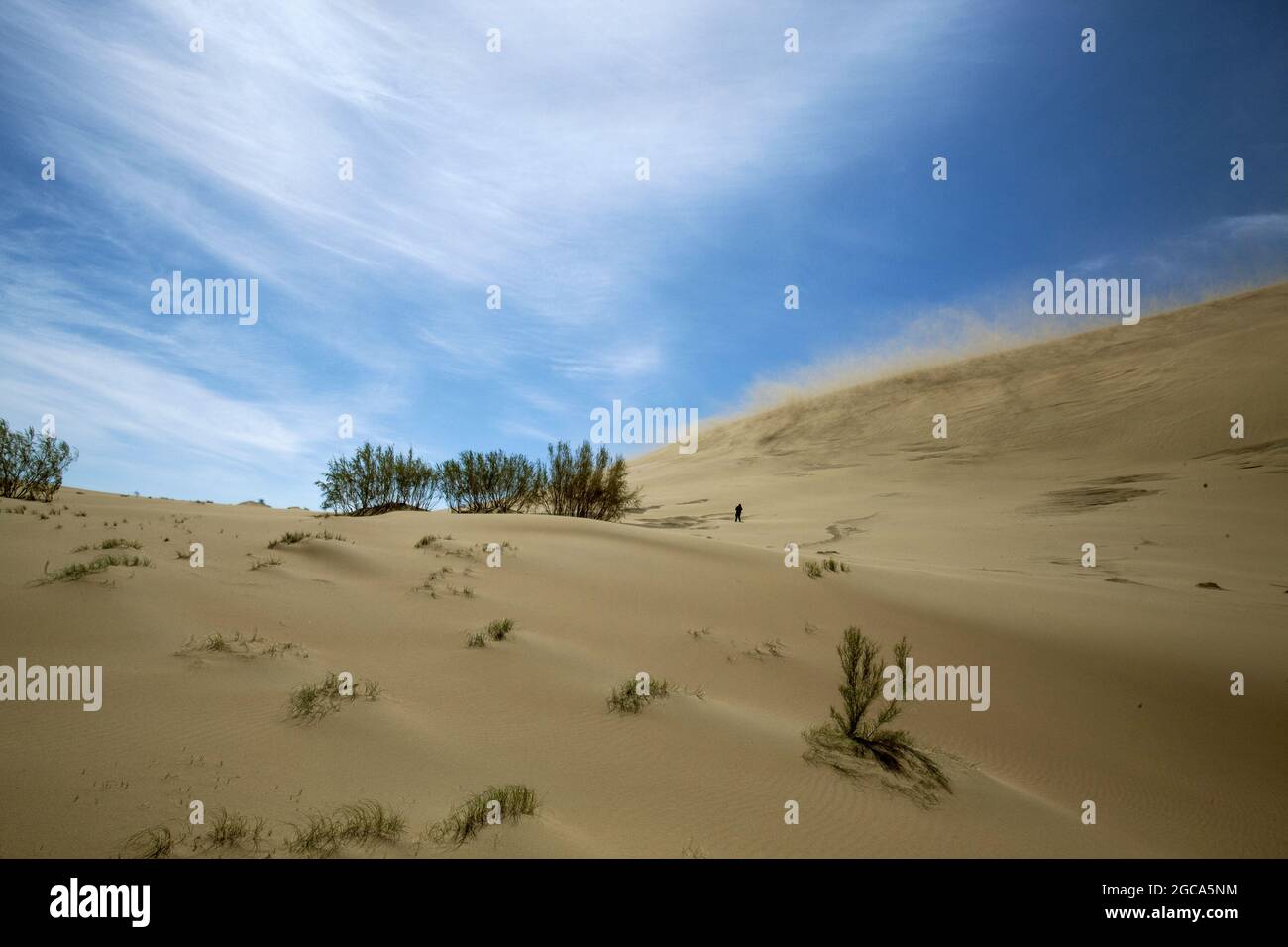 Beautiful view of sandhills in a desert under a cloudy sky Stock Photo ...