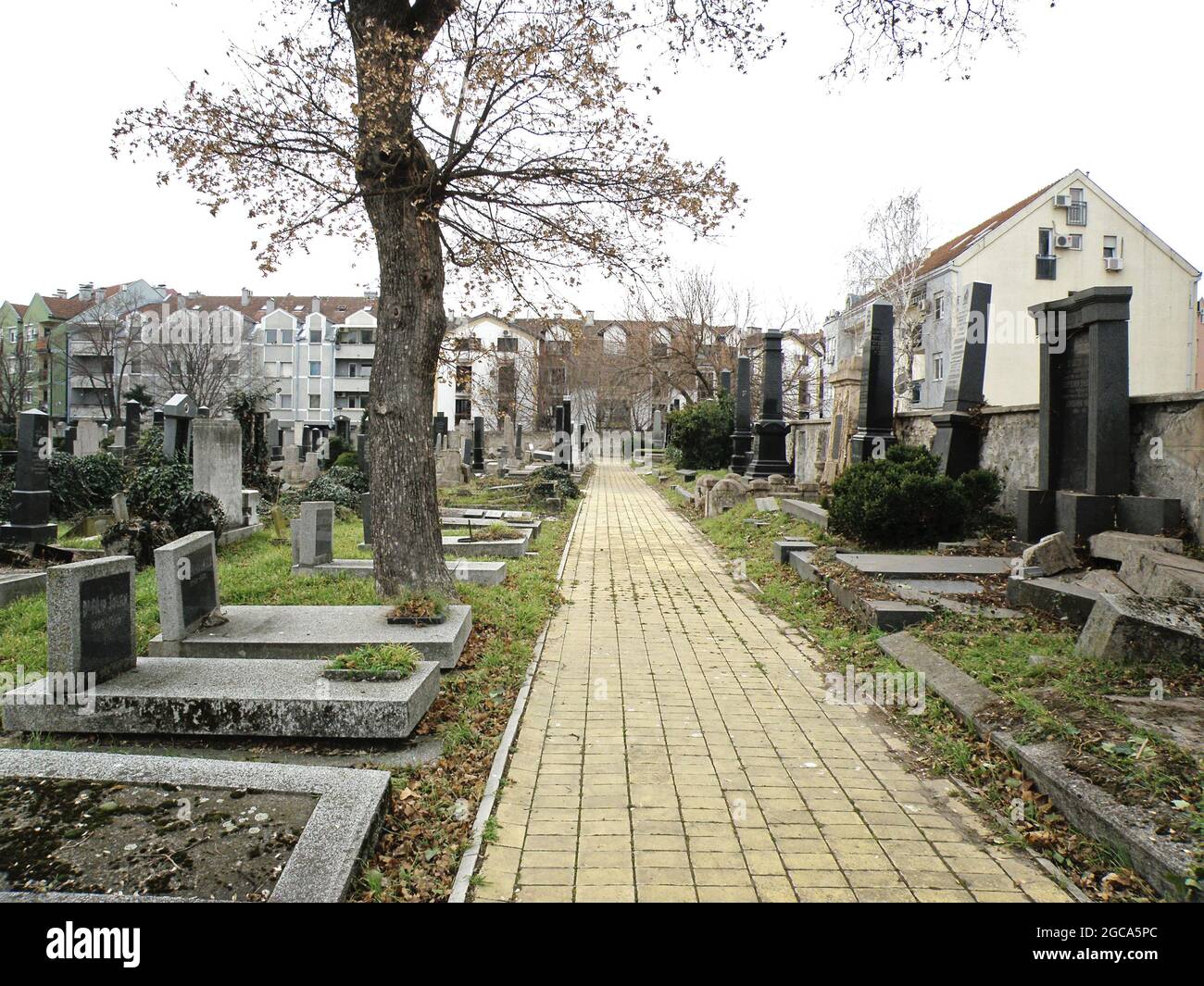 Jewish cemetery tombstone panorama Stock Photo - Alamy
