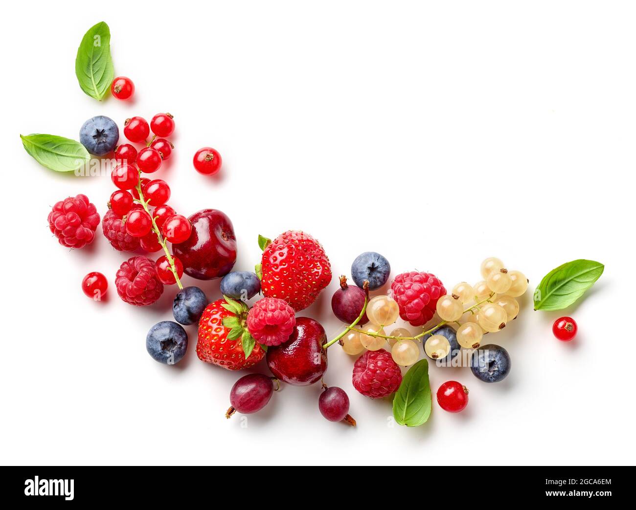 composition of fresh berries and green leaves isolated on white ...