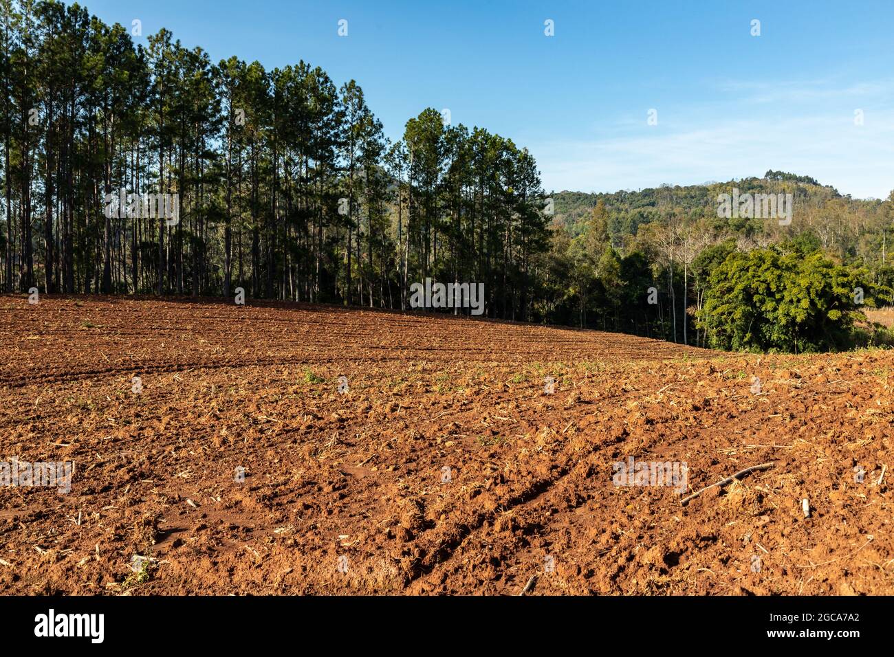 Farm field ready for plantation, Venancio Aires, Rio Grande do Sul ...