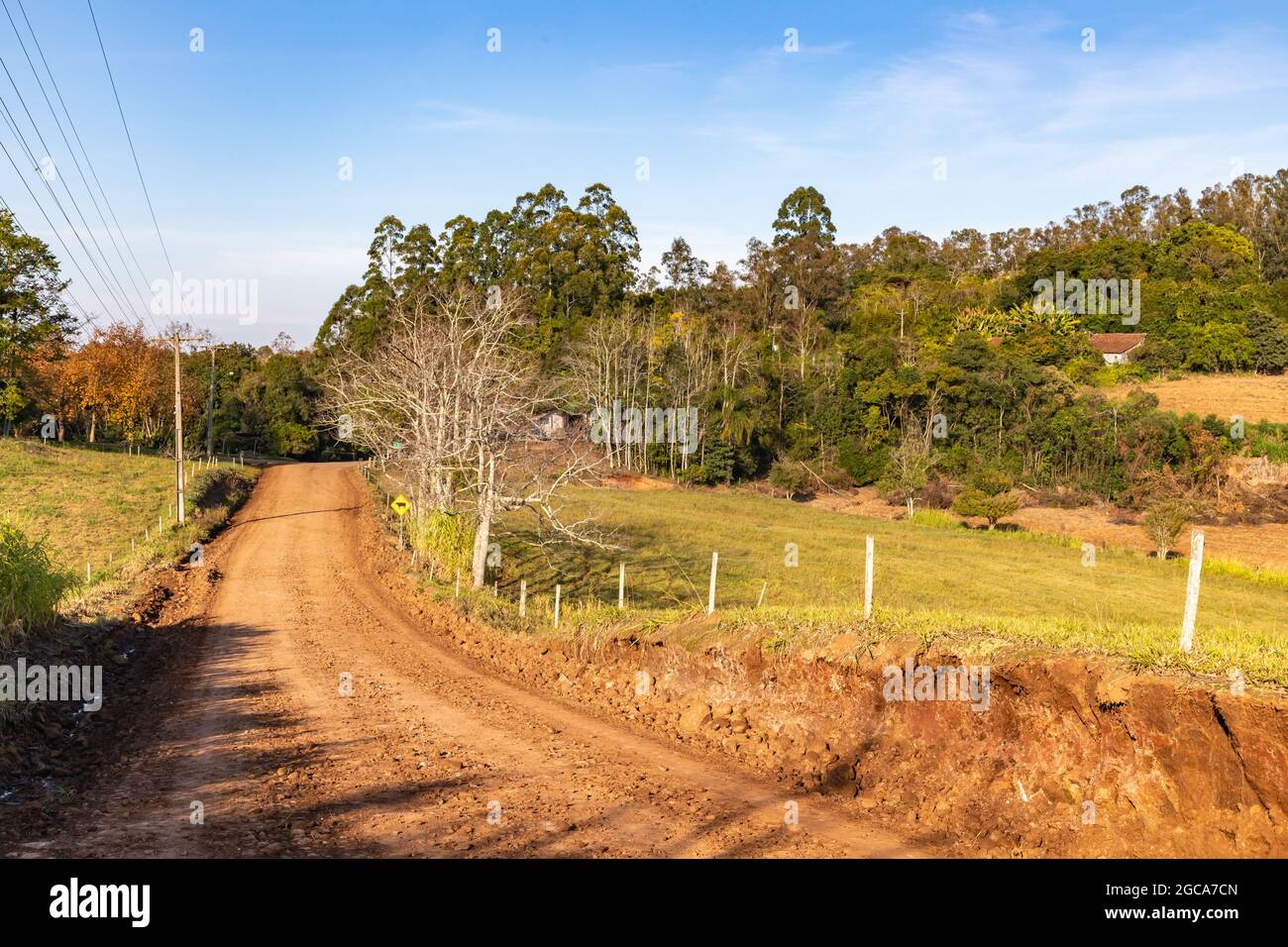 Farm road with fields and forest, Venancio Aires, Rio Grande do Sul ...