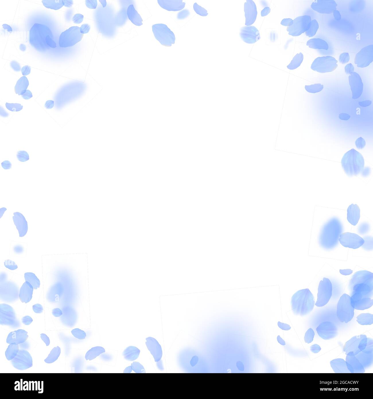 Dark blue flower petals falling down. Ecstatic romantic flowers ...