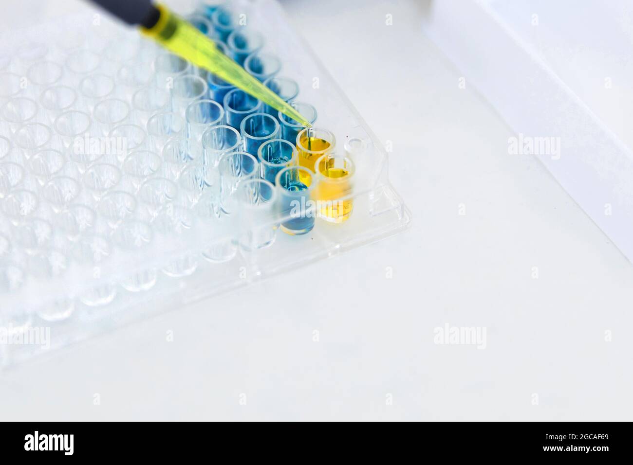 Adding liquid pipette test tubes hi-res stock photography and images ...