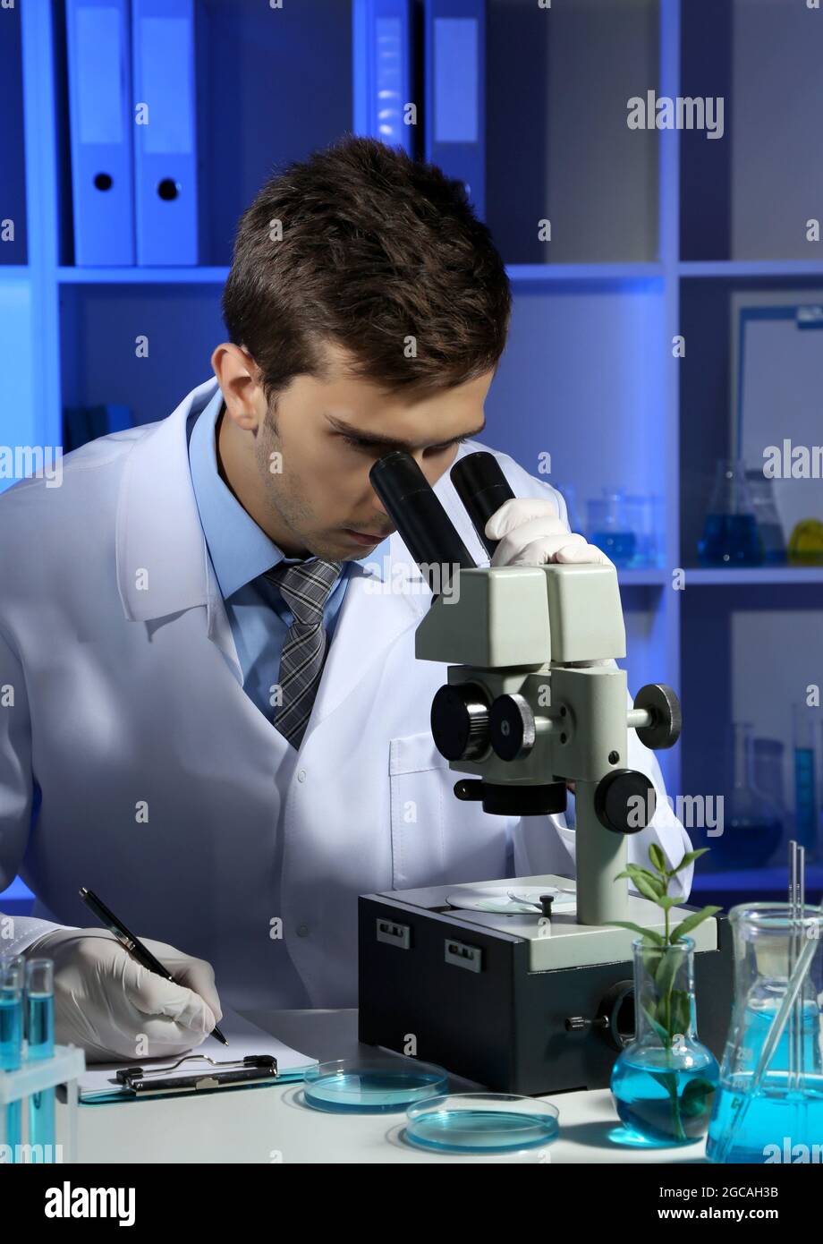 Young laboratory scientist looking at microscope in lab Stock Photo - Alamy