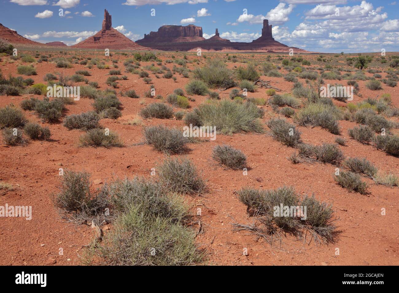 Permian landscape hi-res stock photography and images - Alamy