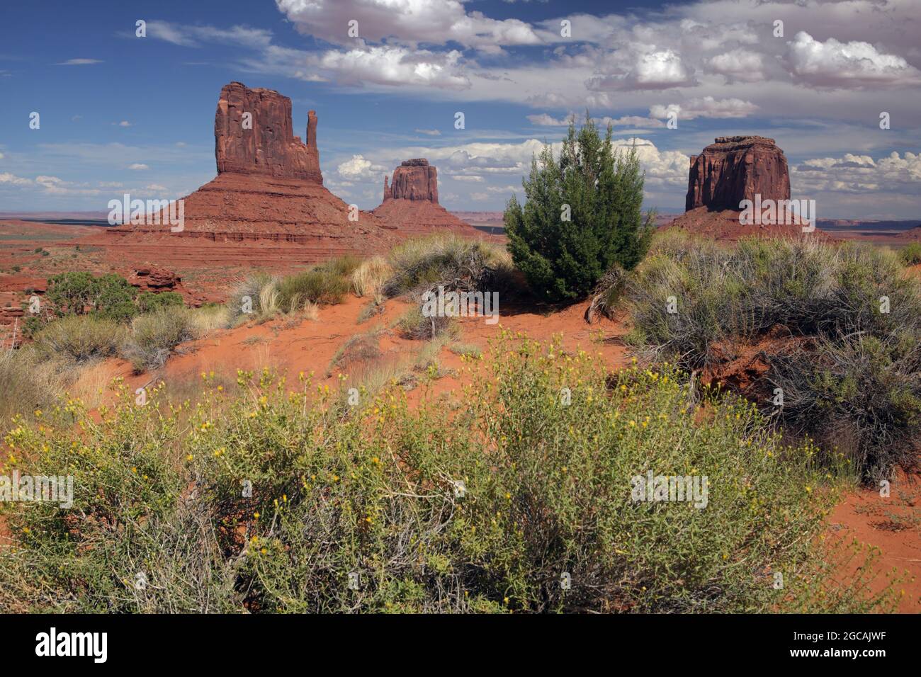 Red sandstone East and West Mitten Butte and Merrick Butte cliffs in ...