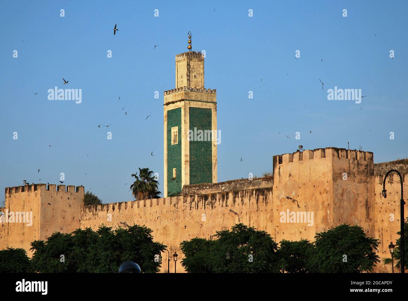 Mosque place of prayer for Muslims in Morocco Stock Photo - Alamy
