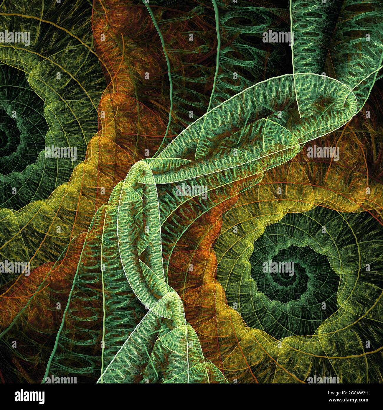 An illustration of abstract colorful leaves texture on a dark ...