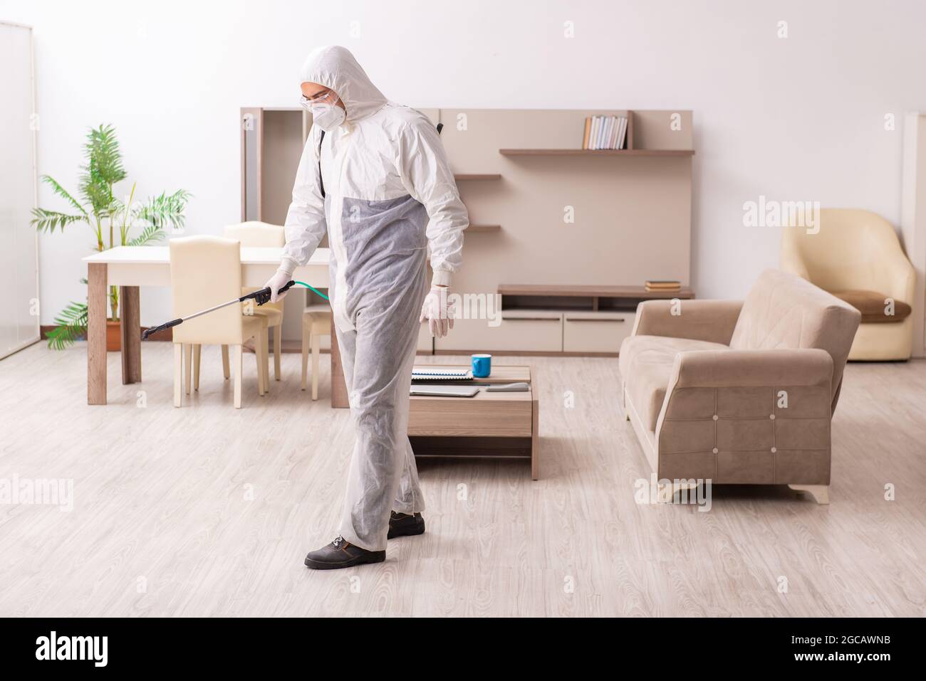 Young contractor doing pest control at home Stock Photo - Alamy