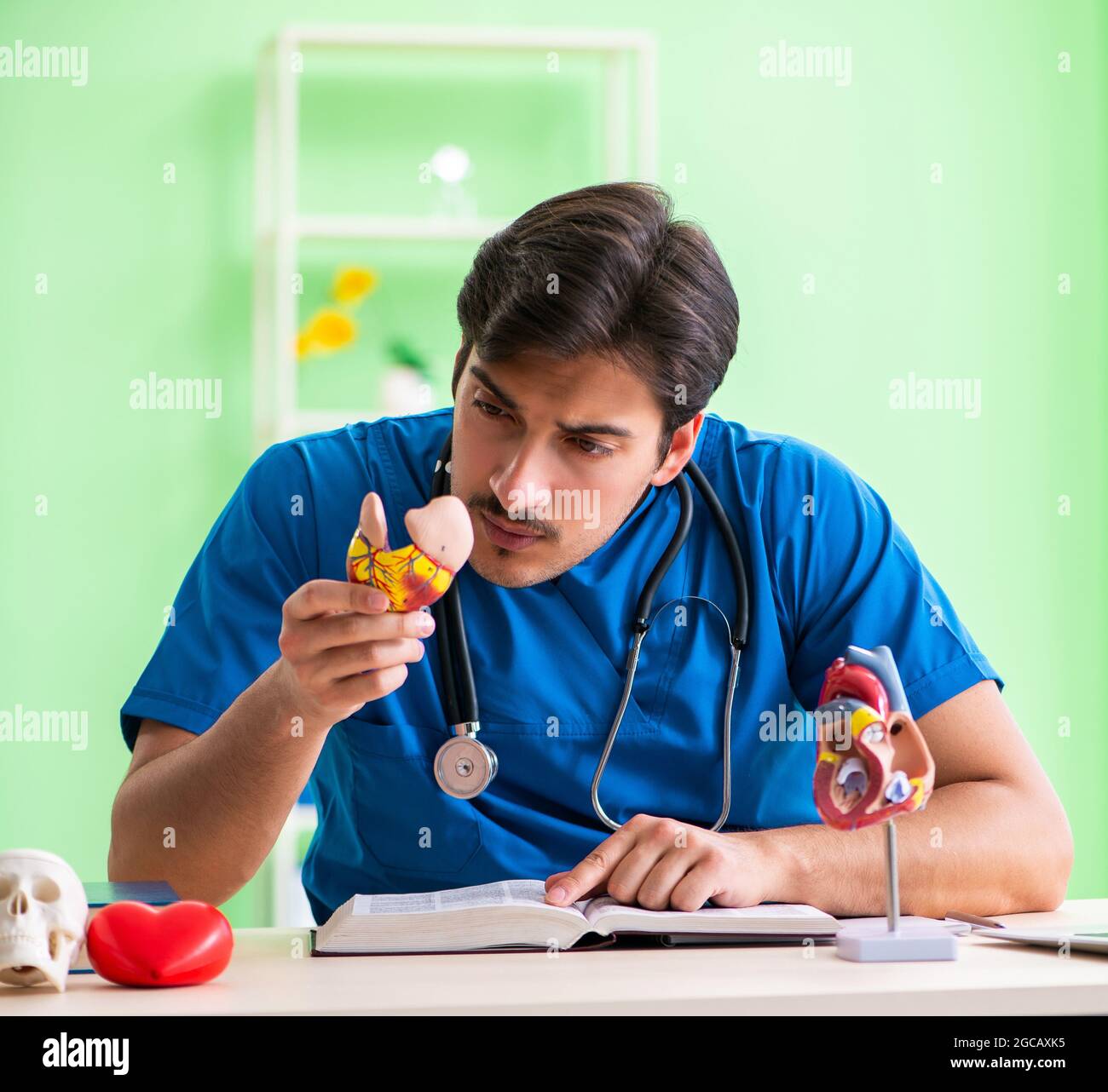 The doctor student explaining heart problems Stock Photo - Alamy