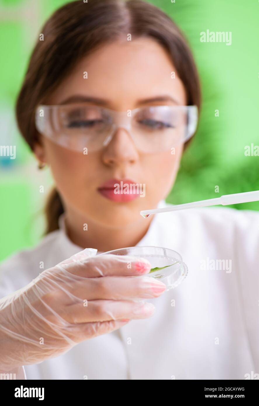 The beautiful female biotechnology scientist chemist working in lab ...