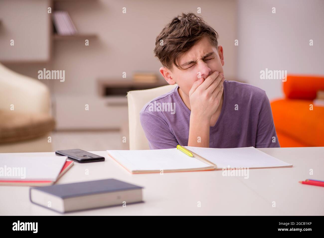 Male pupil preparing for exams at home Stock Photo - Alamy