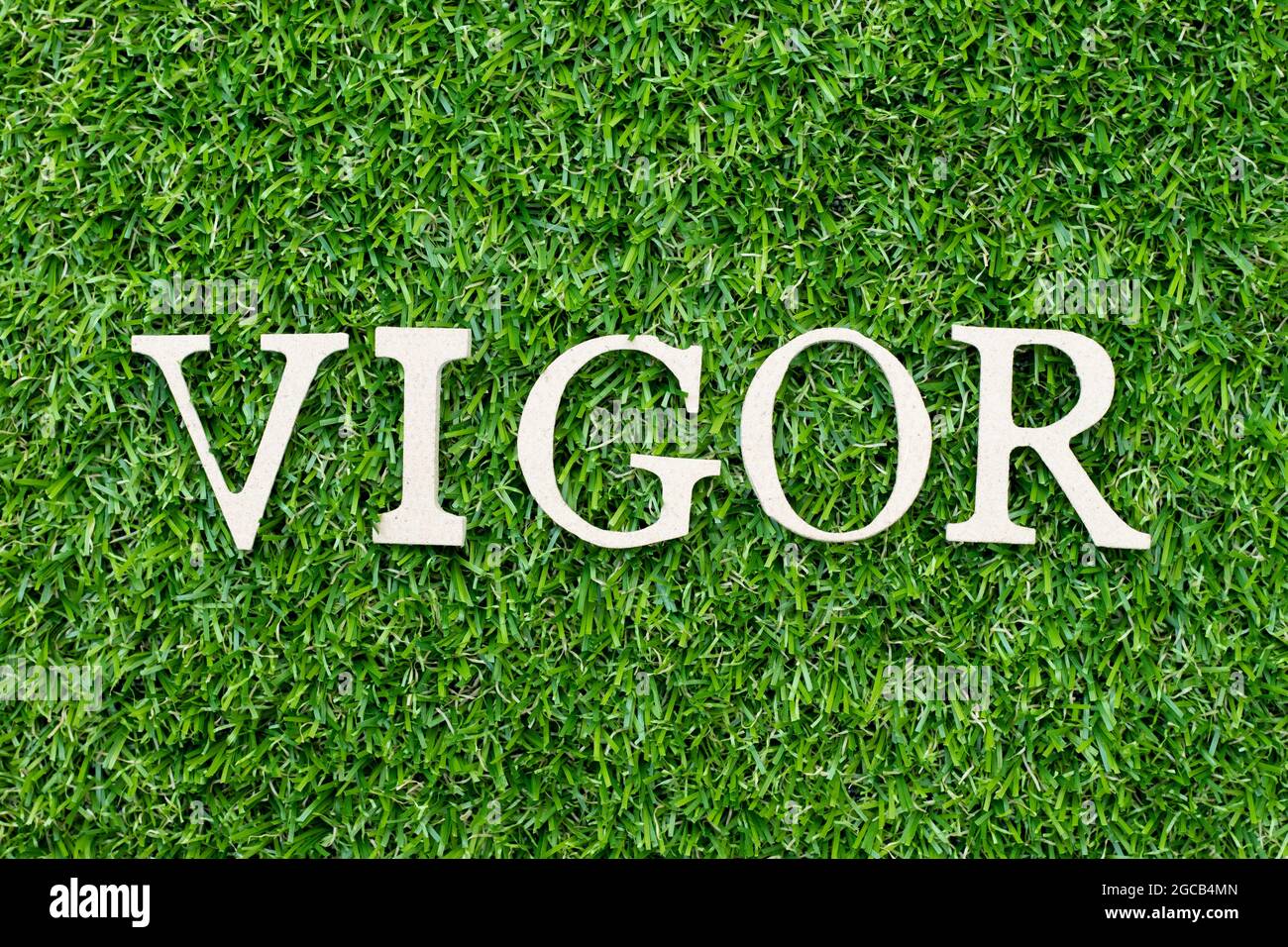 Wood alphabet letter in word vigor on green grass background Stock ...