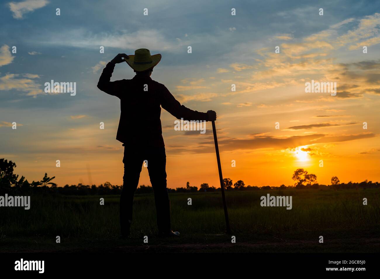 Male farmer holding a hoe in a field at sunset Stock Photo - Alamy