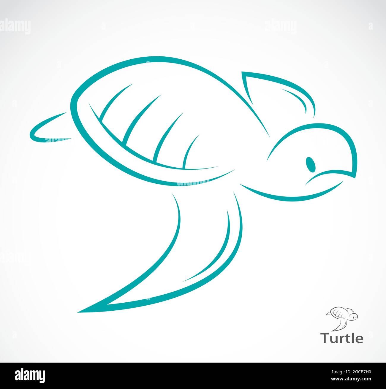 Sea turtle egg Stock Vector Images - Alamy