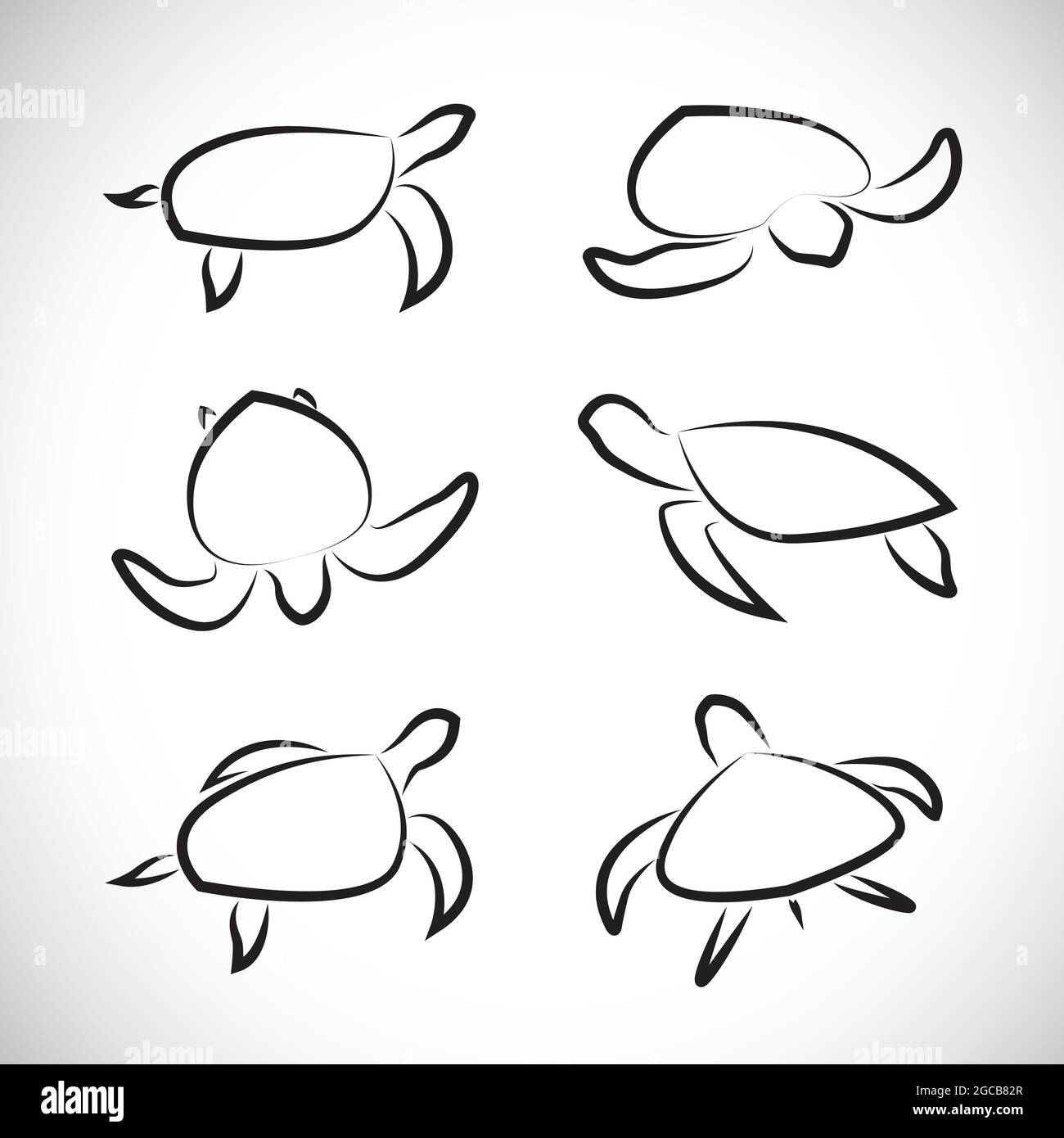 Vector group of turtle on white background. Easy editable layered ...