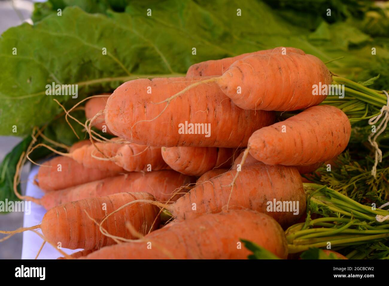 Propiedades saludables hi-res stock photography and images - Alamy