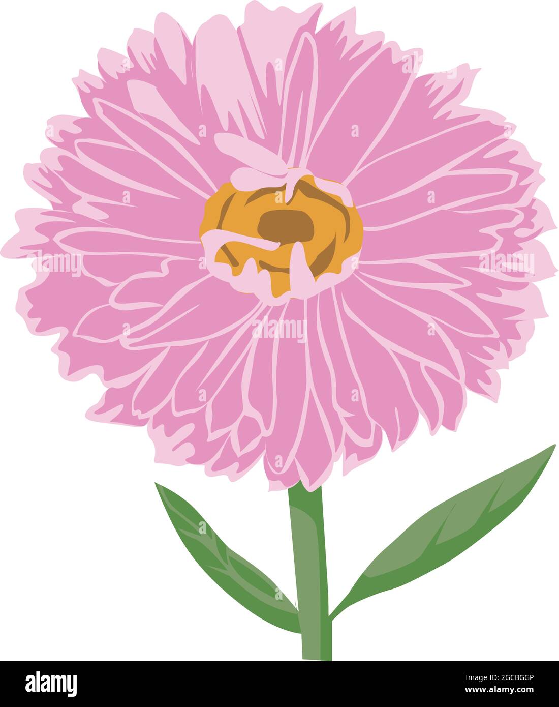 Aster Flower color clip art Design Stock Vector Image & Art - Alamy