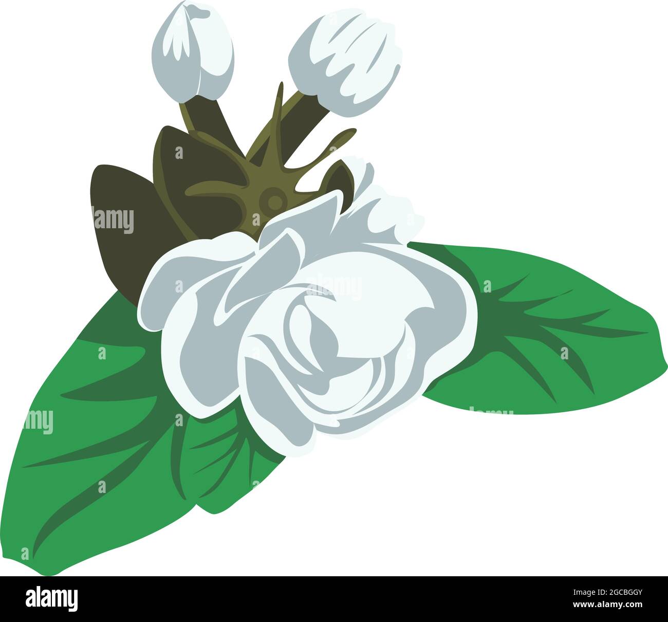 Mogra Stock Vector Images - Alamy