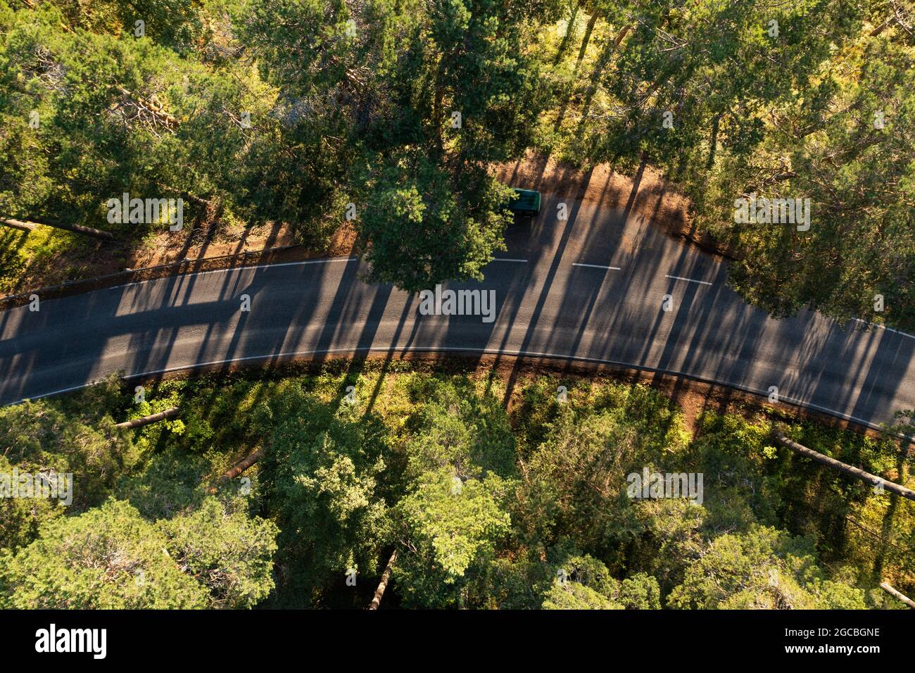 Beautiful long shadows trees sunset hi-res stock photography and images ...
