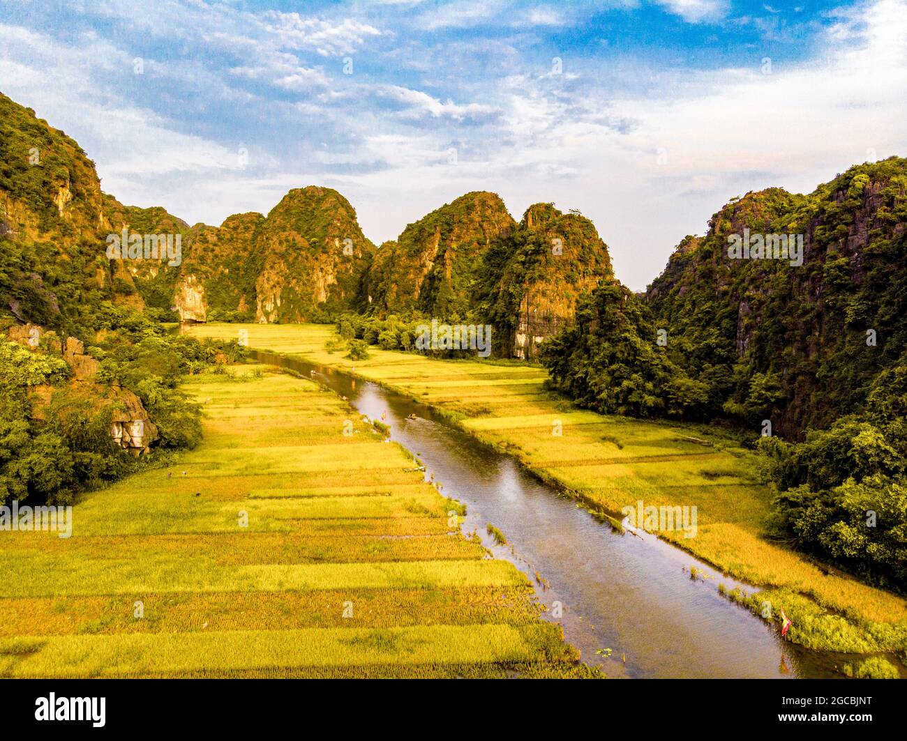 Nice yellow rice field in Ninh Binh province northern Vietnam Stock ...