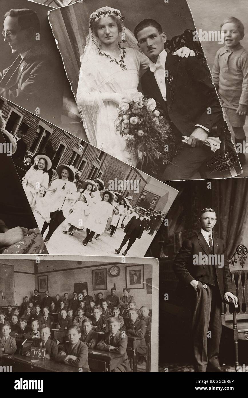 vintage, retro, old, photograph, century, botany, graphics, antique ...