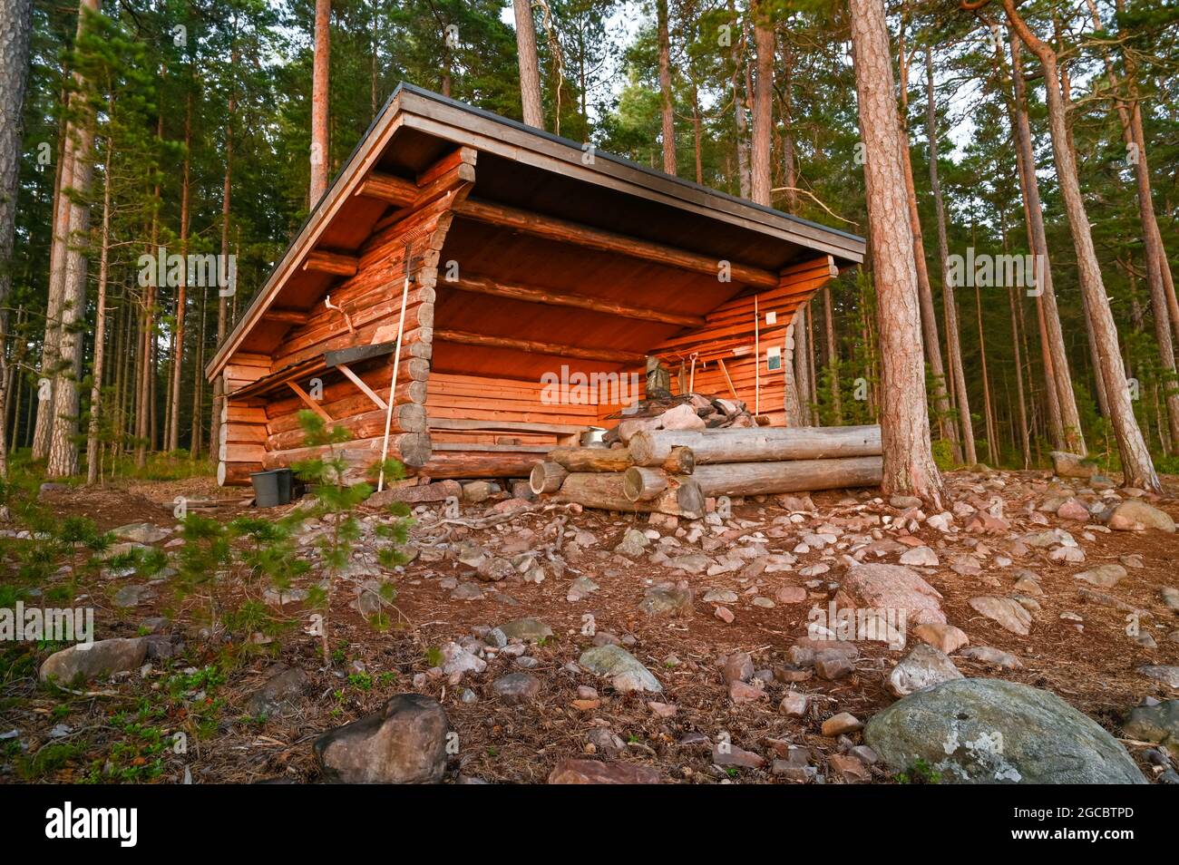 wooden windbreak with fireplace in sunsetlight in forest Stock Photo ...
