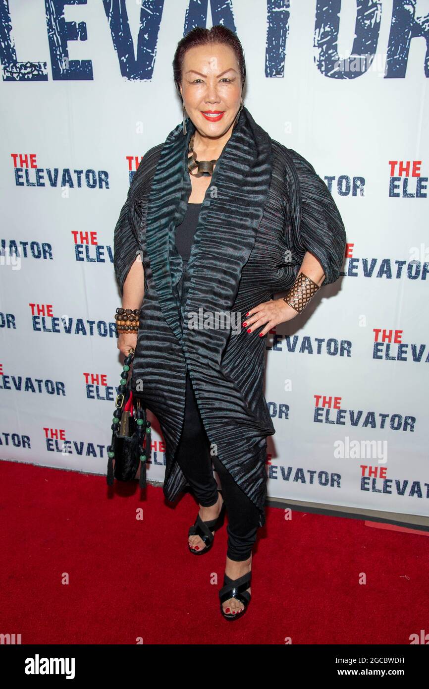 Los Angeles, USA. 07th Aug, 2021. Sue Wong attends Movie Premiere ...