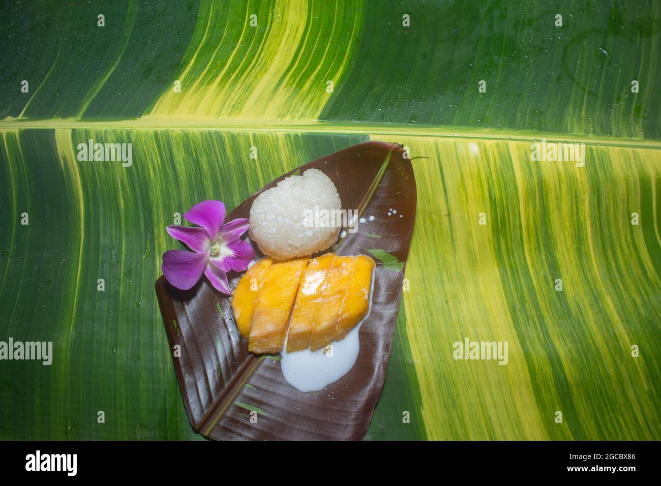 Mango sticky rice served on a spotted banana leaf by the pool. speckled ...