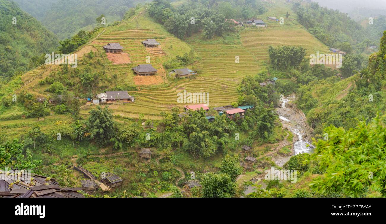 Rice terraces in the fog in Sapa, Vietnam. Rice fields prepare the ...
