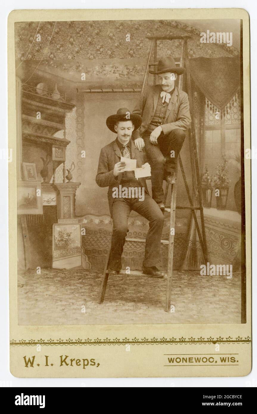 vintage, retro, old, photograph, century, botany, graphics, antique ...