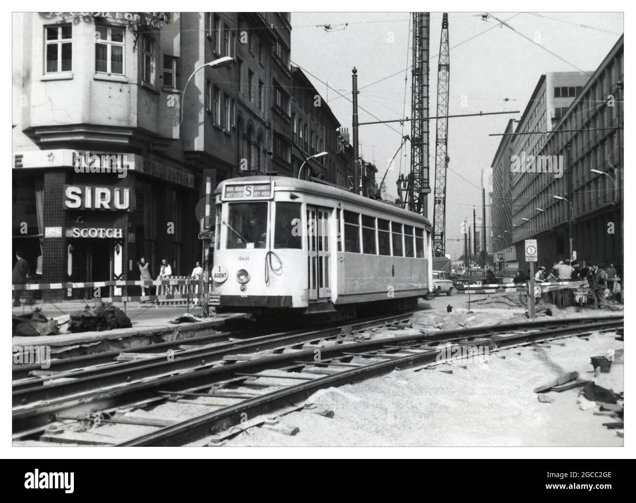 vintage, retro, old, photograph, century, botany, graphics, antique ...