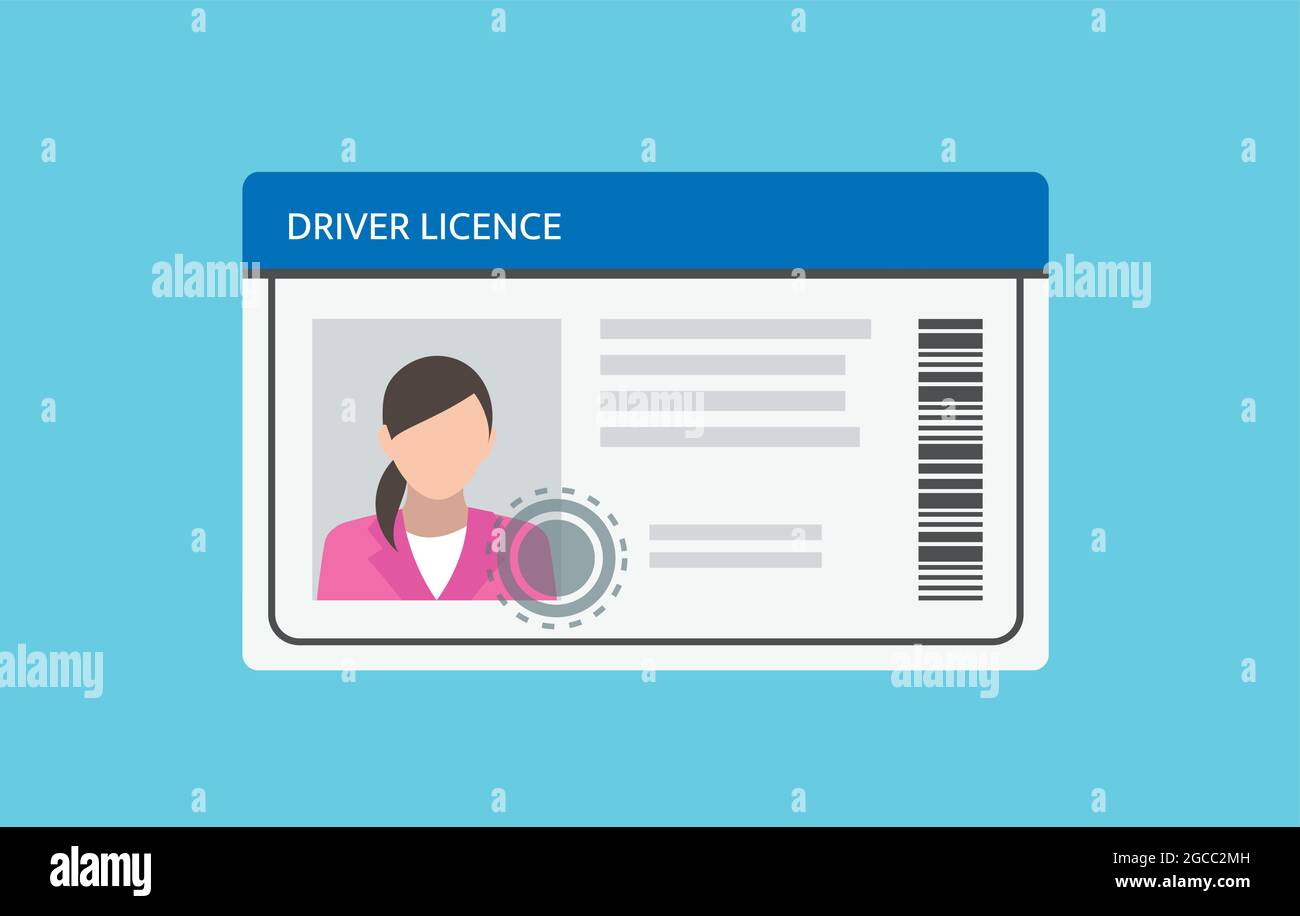 Driver license card in hand. ID number and photo included. Vector Stock ...