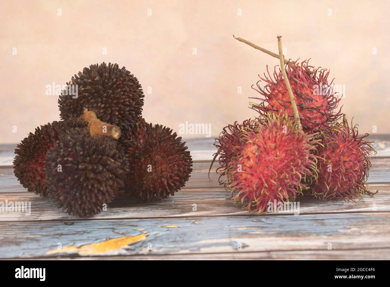 Rambutan and pulasan fruits side by side. Both belongs to the soapberry ...